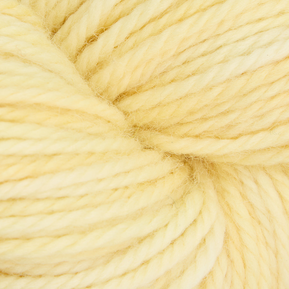 Buttered Popcorn – Fine Variegated Yarn – The Oxford Company