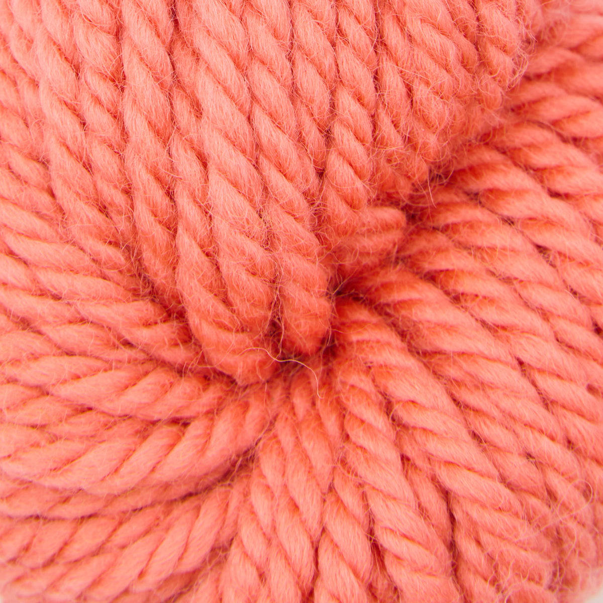 Coral – Solid Rug Yarn – The Oxford Company