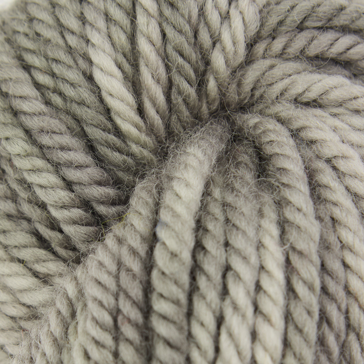 Not Even A Mouse – Grays – Rug Yarn – The Oxford Company