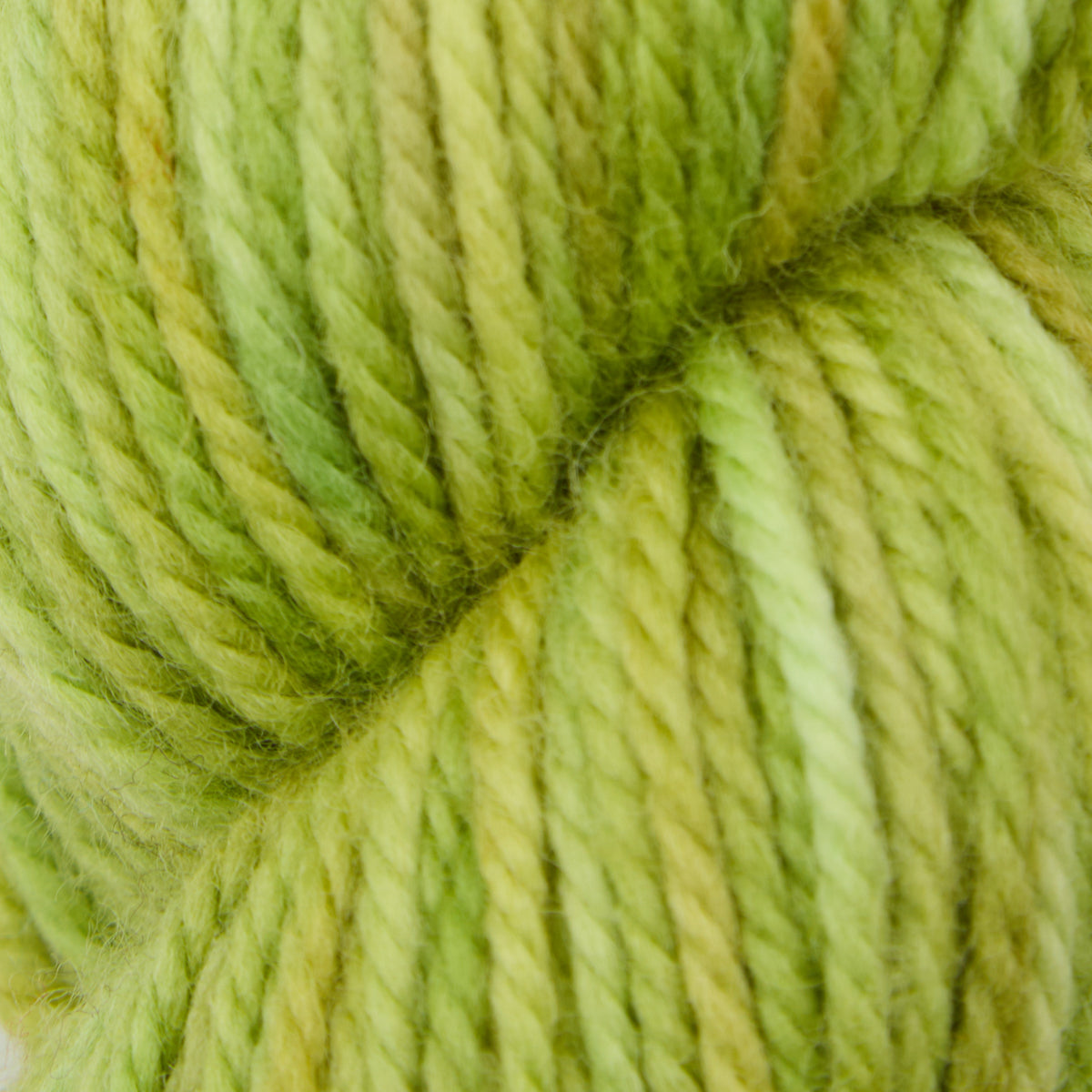 Parakeet - Fine Variegated Yarn – The Oxford Company