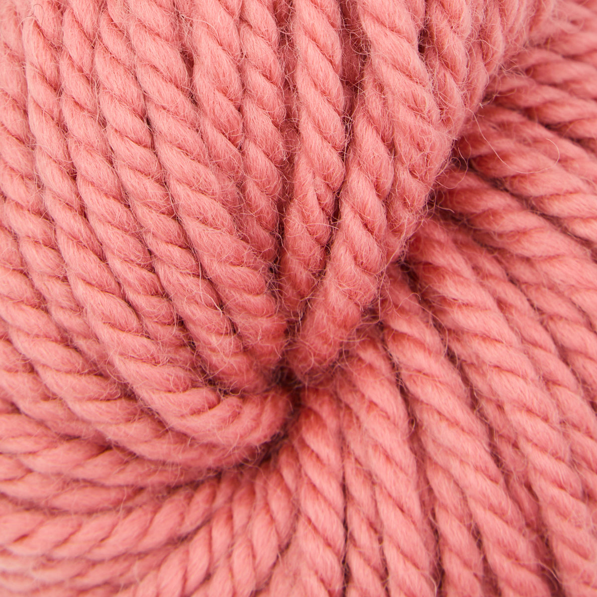 Strawberry Shake : Rug Yarn – The Oxford Company